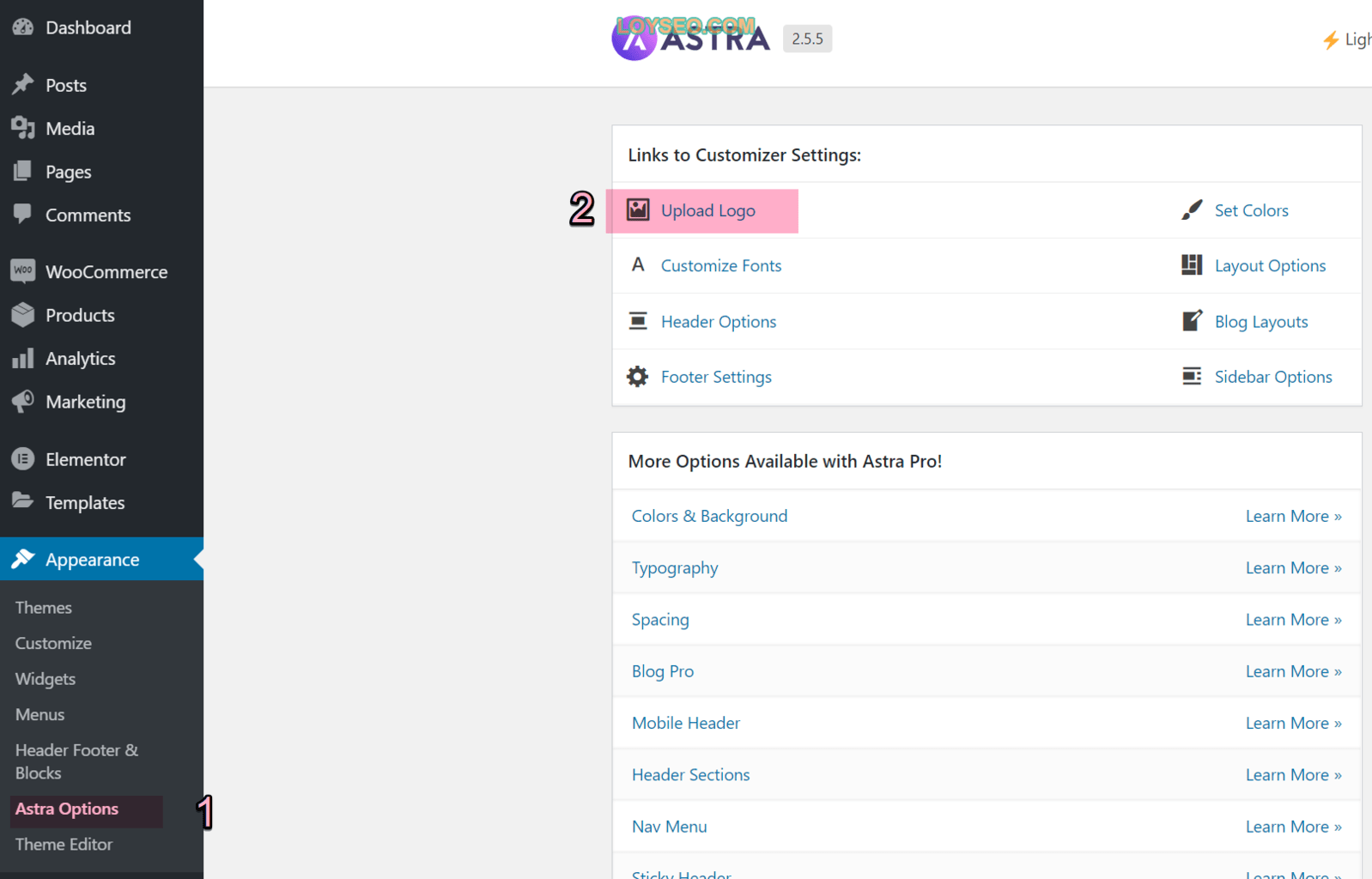 Astra主题安装后的基础操作 - B2B外贸网站自建教程（7）-雨果网